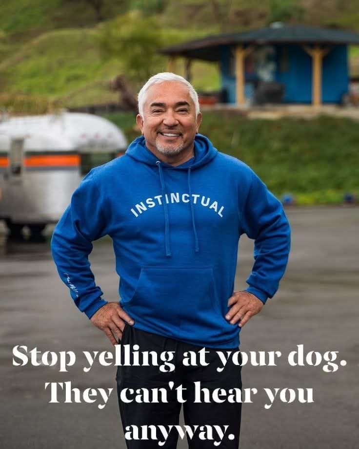 Calm-Assertive Energy: Cesar Millan's Secret To Dog Training
